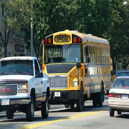 Original File Name: man_tsp_lnd_bus_freefoto_schol3.jpg